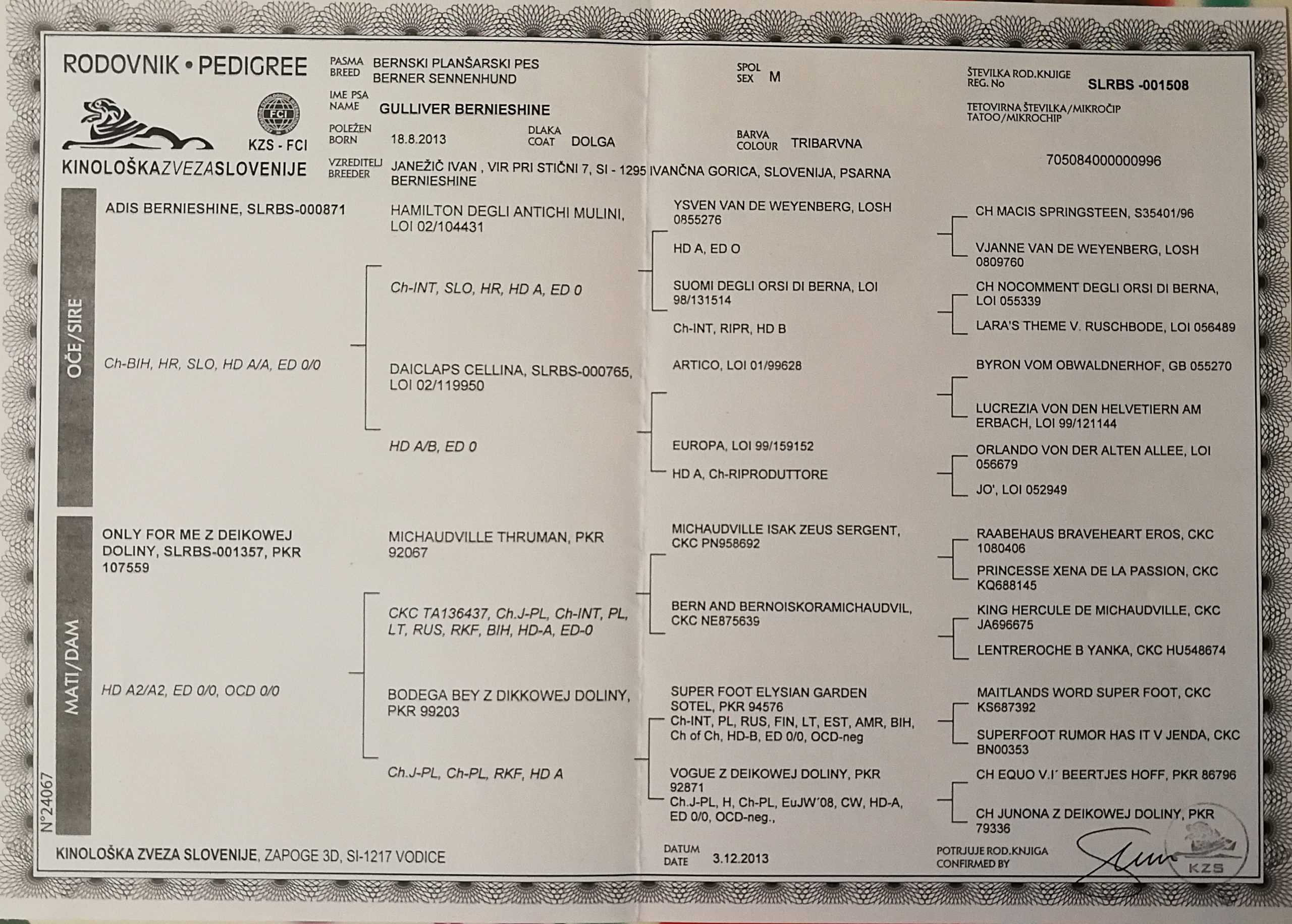 Plemenjaki – Moj Berni
